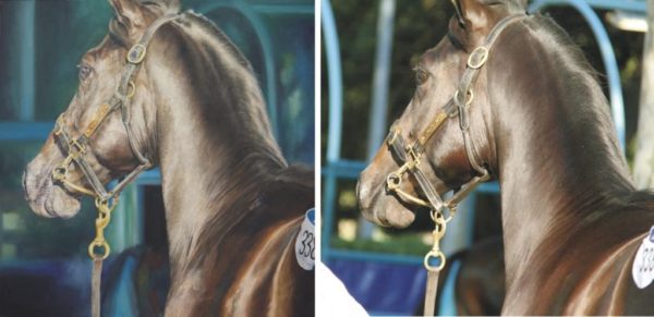 Kristin Hardiman – Australian equine artist, portrait artist and ...